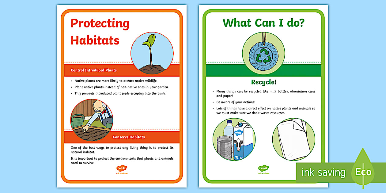 Protecting Habitat Poster for Teachers (teacher made)
