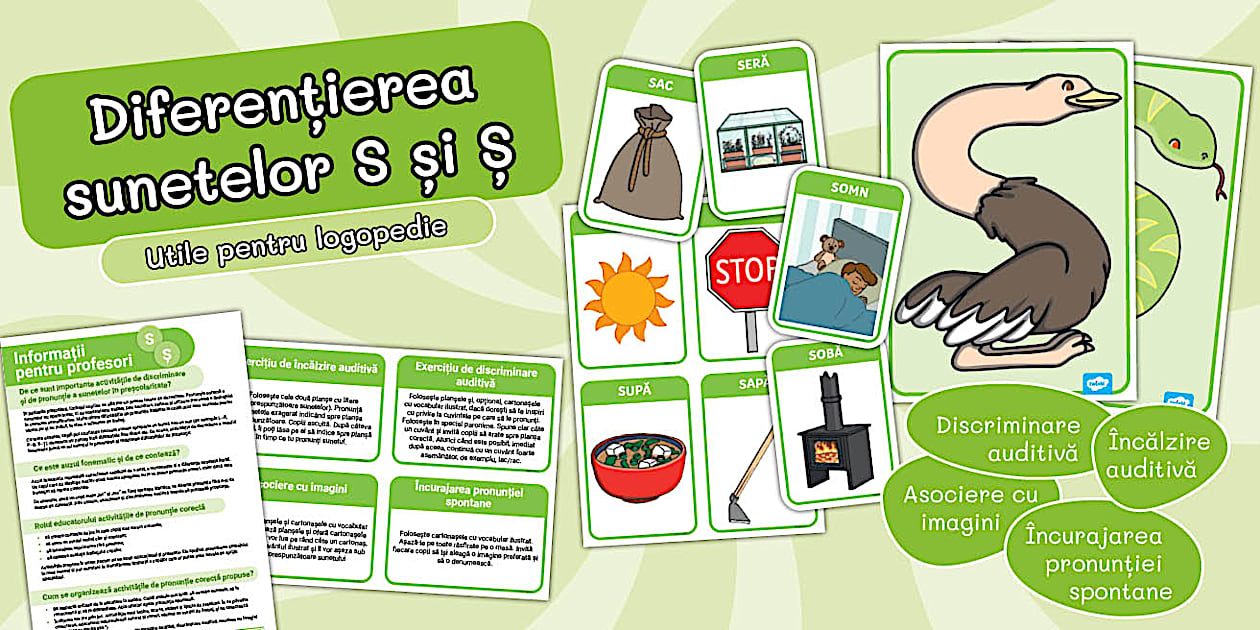 Diferențierea sunetelor S Ș Activități de pronunție corectă
