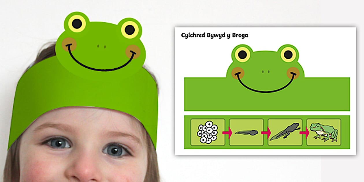 Bandiau Pen Cylchred Bywyd y Broga (teacher made) - Twinkl