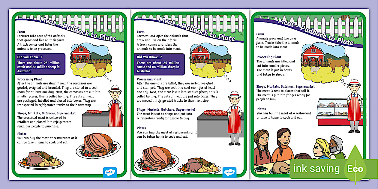 Cursive Meat Paddock to Plate Display Poster (teacher made)