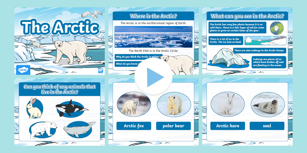 Polar Biome PowerPoint - Life in the Arctic | Twinkl