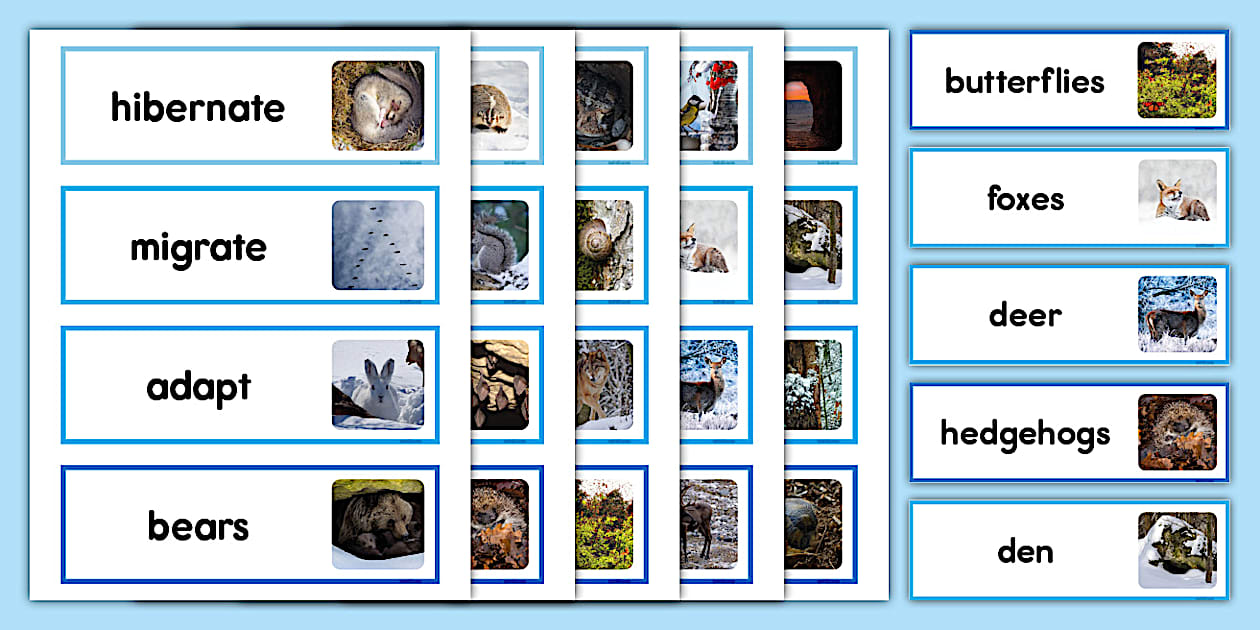 Animals in Winter Photo Word Cards