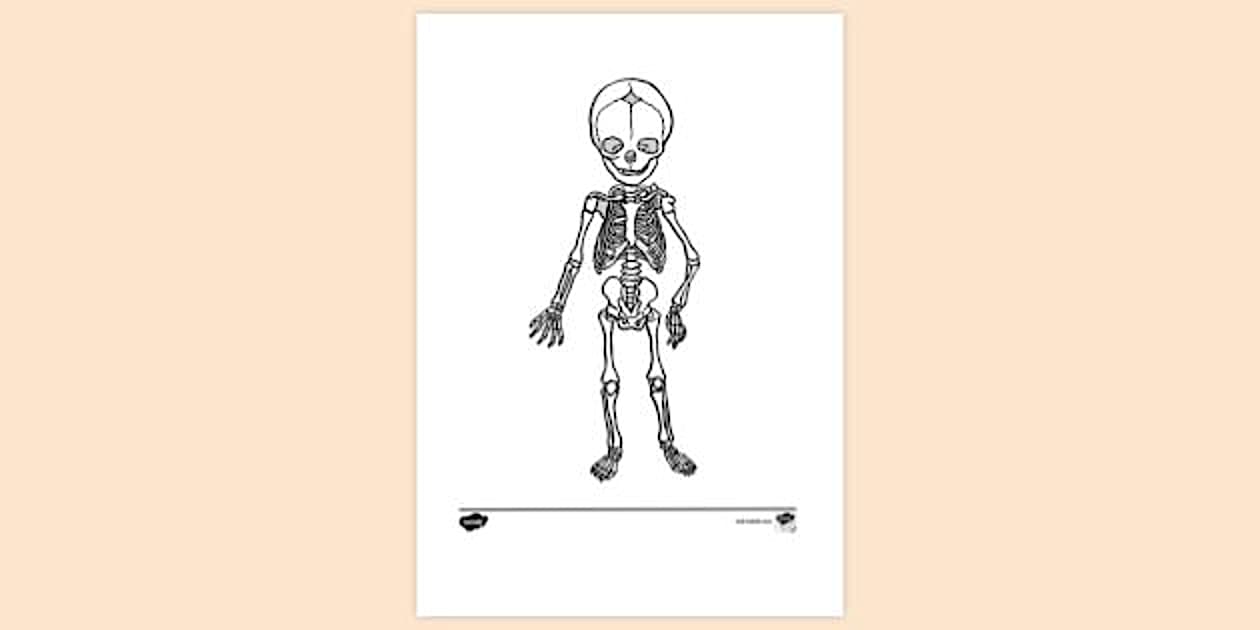 Baby Skeleton Colouring Sheet | Colouring Sheets | Twinkl