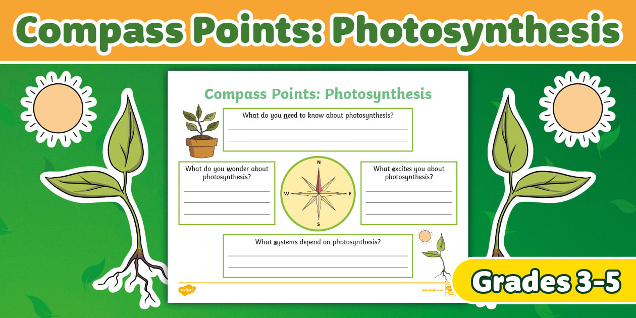 Compass Points: Photosynthesis Worksheet for 3rd-5th