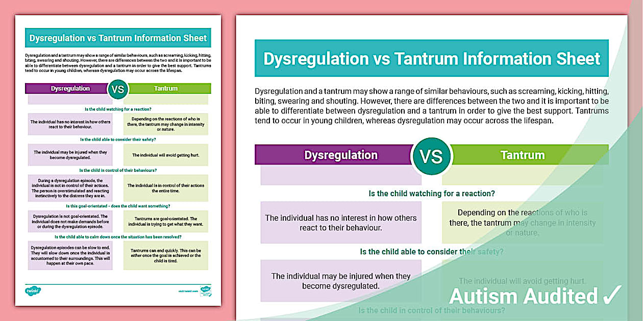 Meltdown vs. Tantrum Behaviour Information Sheet | Twinkl