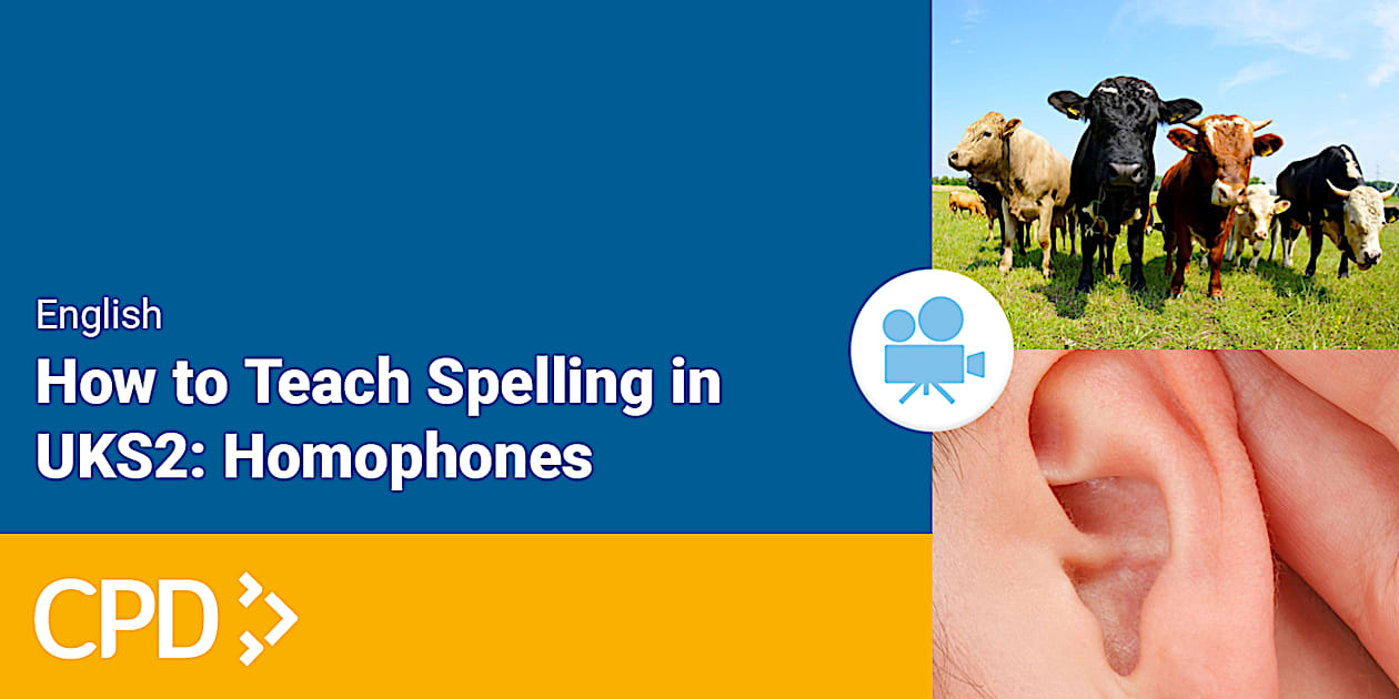 How to Teach UKS2 Spelling Homophones Video CPD - Twinkl