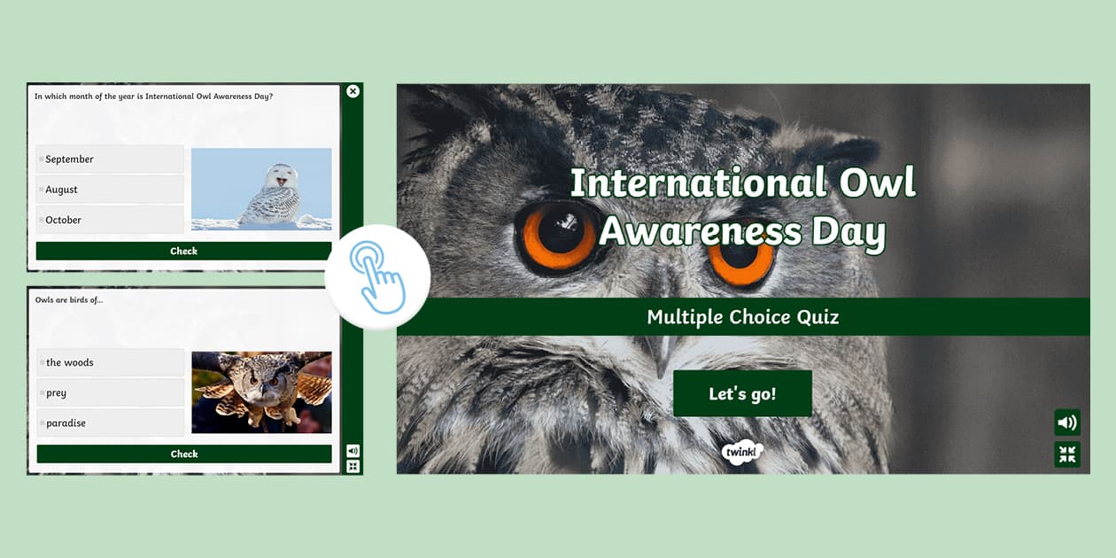 KS1 International Owl Awareness Day Interactive Quiz -Twinkl