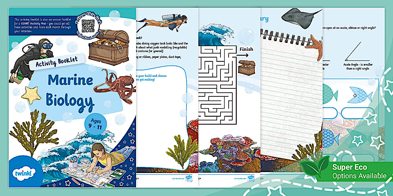 Marine Biology Activity Booklet (Ages 9 - 11) (teacher made)