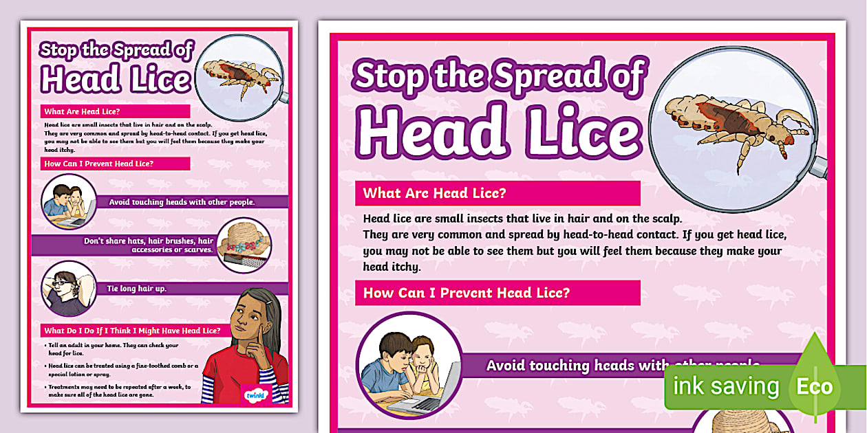 Stop the Spread of Head Lice Poster (teacher made) - Twinkl