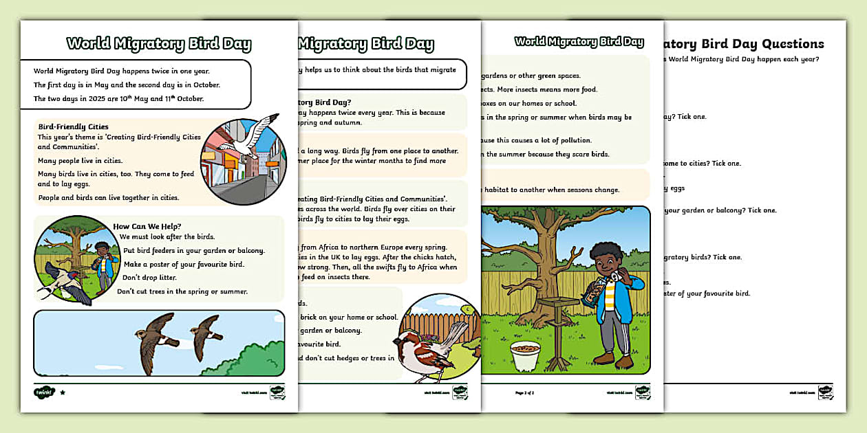 KS1 World Migratory Bird Day Differentiated Reading Comprehension
