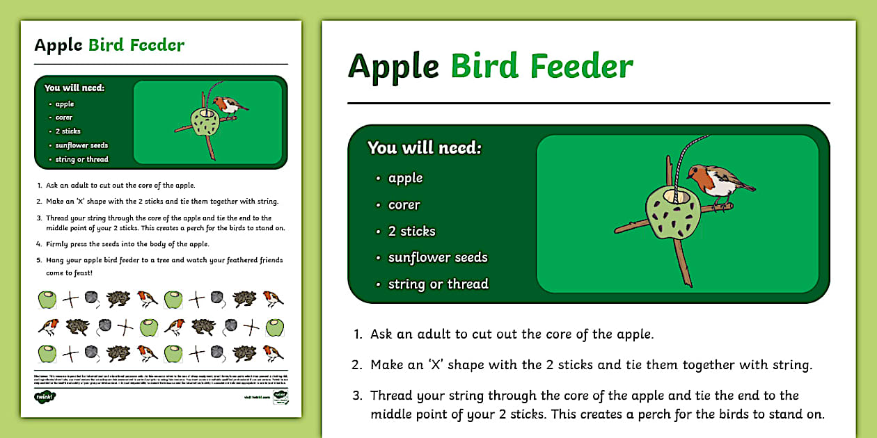 Apple Bird Feeder Craft Instructions (teacher made) - Twinkl