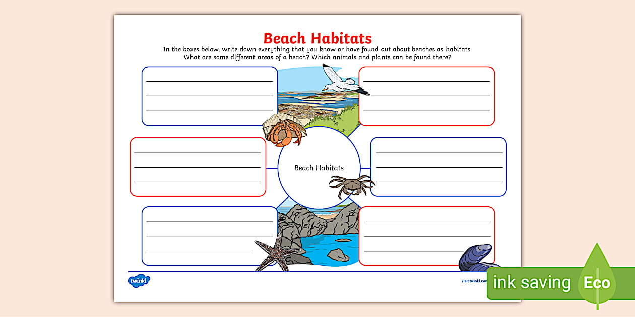 Beach Habitats Mind Map (teacher made) - Twinkl