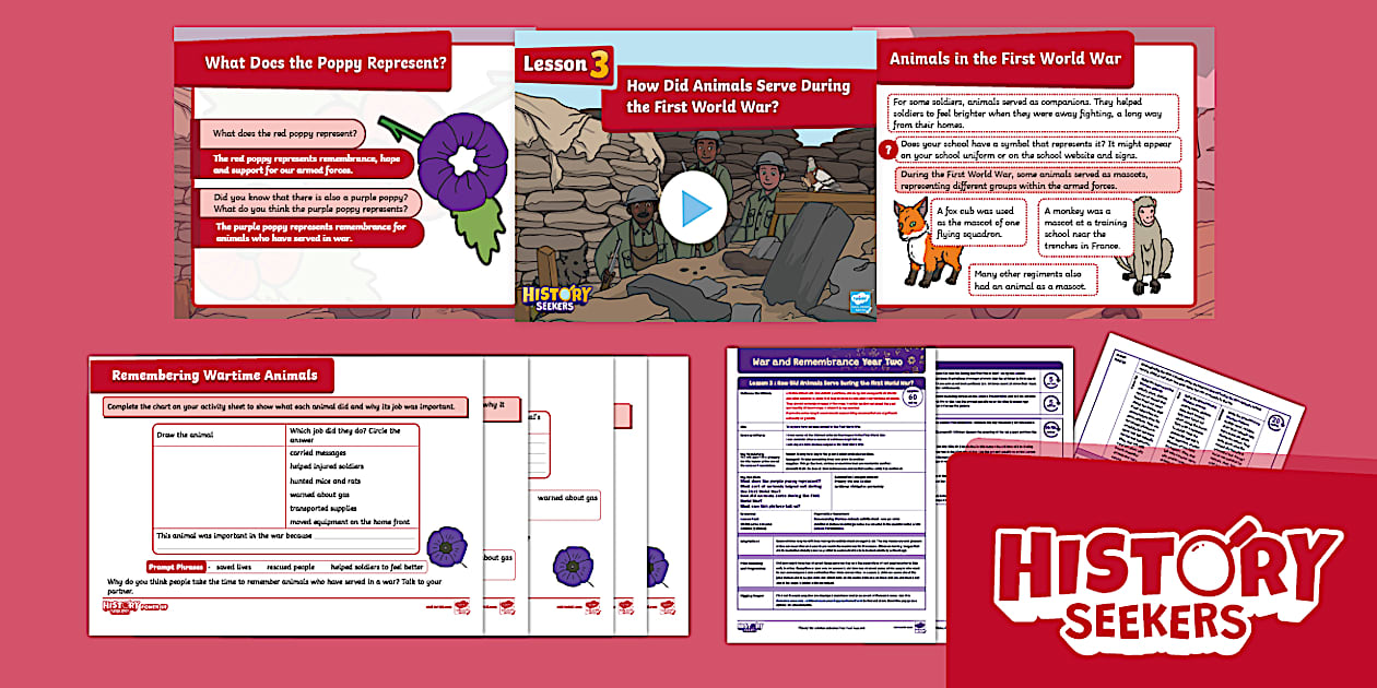 History Seekers KS1 War Remembrance Lesson 3 Animals in War