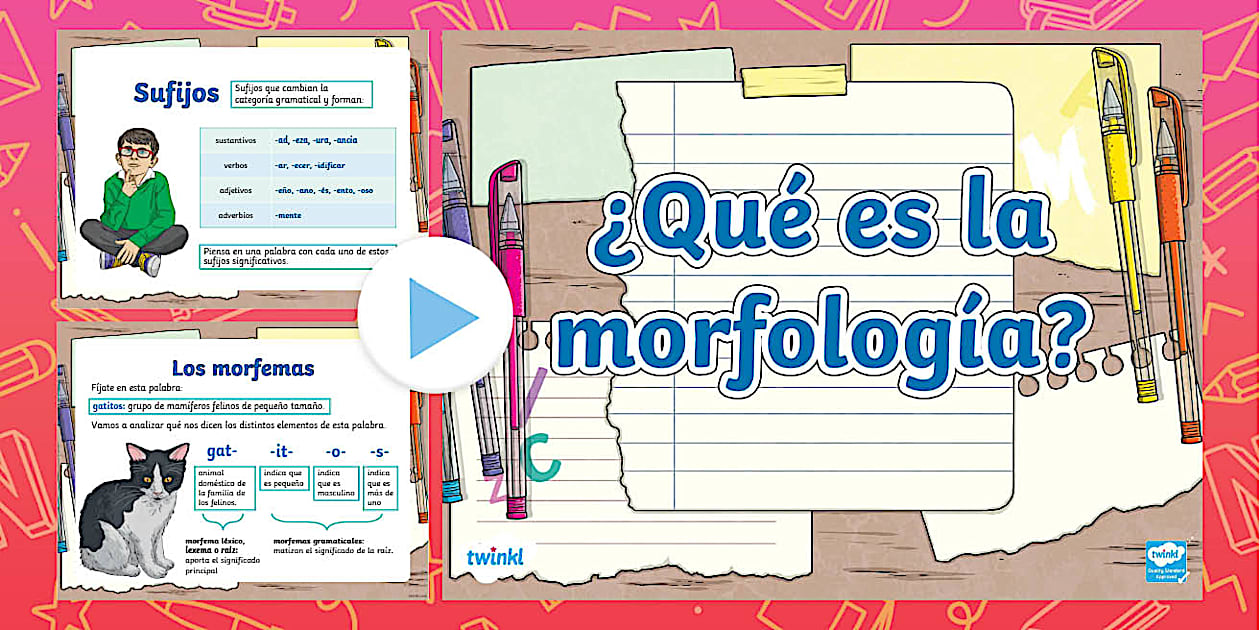 Presentación: ¿Qué es la morfología? - Twinkl