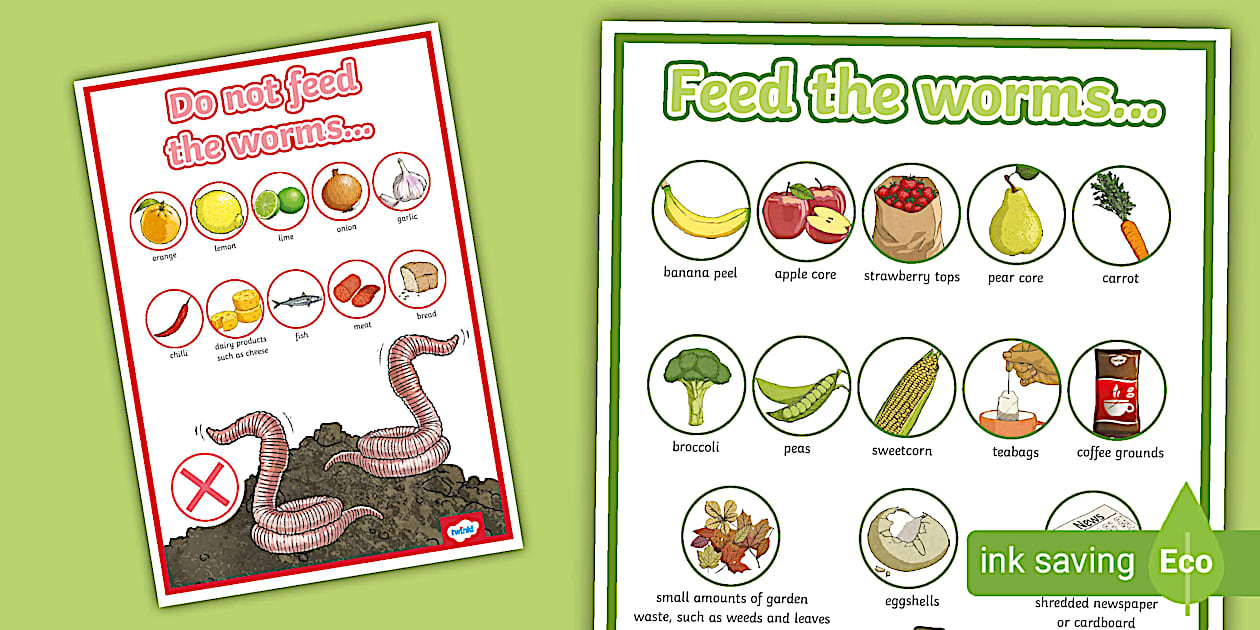What to Feed Worms in a Worm Farm Display Posters Ι Twinkl