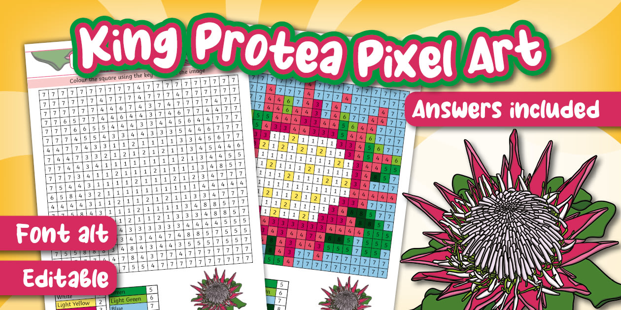 Foundation Phase - Life Skills Creative Arts - King Protea Pixel Art