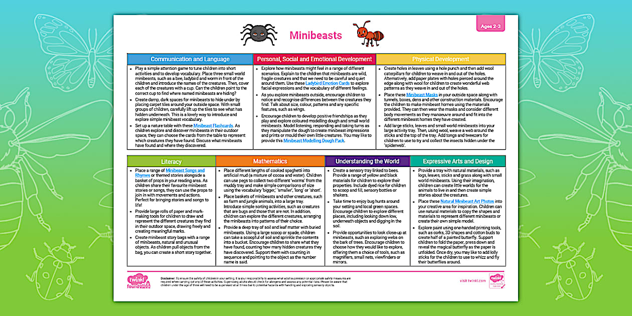 EYFS Ages 2-3 Topic Planning Web: Minibeasts | Twinkl