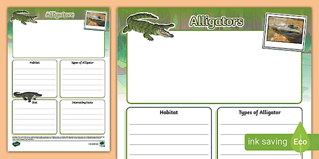 Alligator Fact File Template (teacher made) - Twinkl