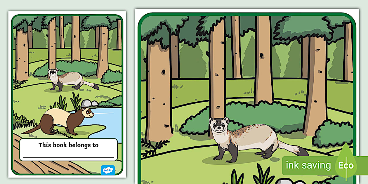 A Fantastic Ferret-Themed Book Cover | Twinkl | Stationery