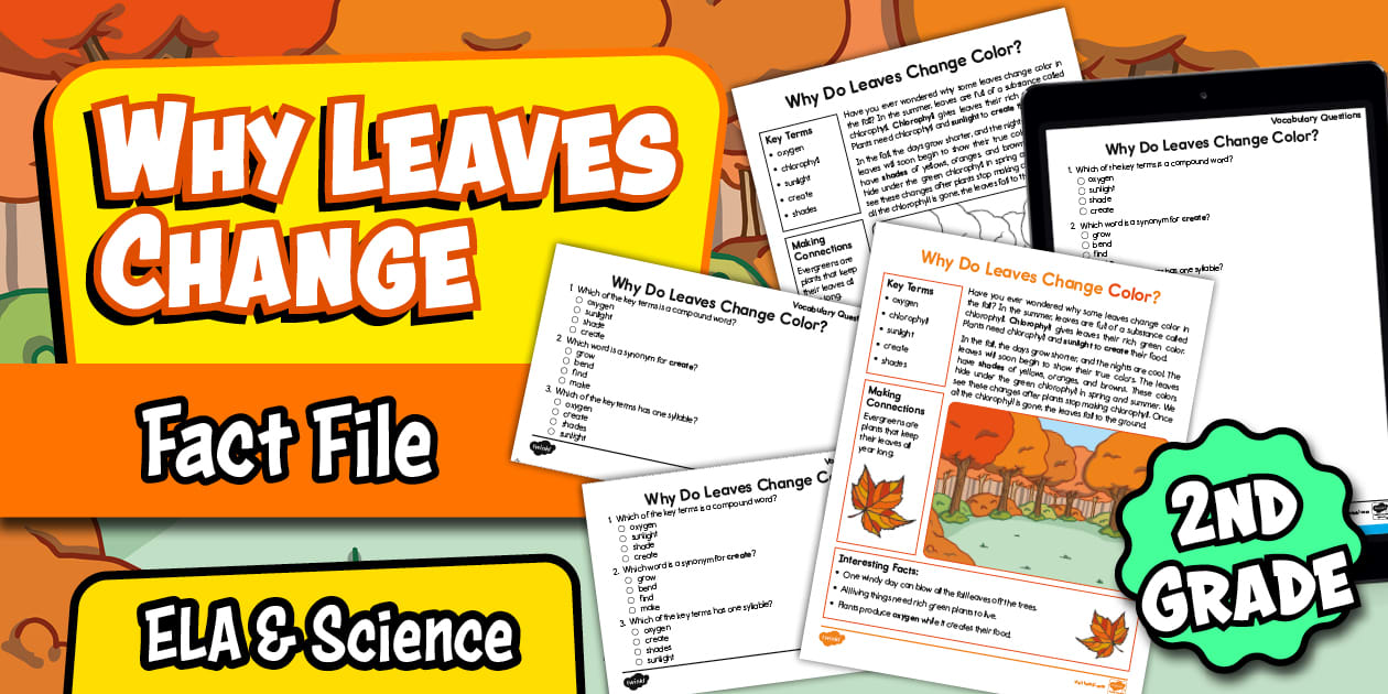 Why Do Leaves Change Color in the Fall activity | Twinkl USA