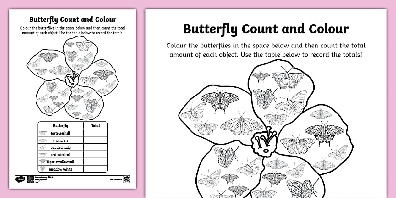 👉 Butterfly Count and Colour Worksheet (teacher made)