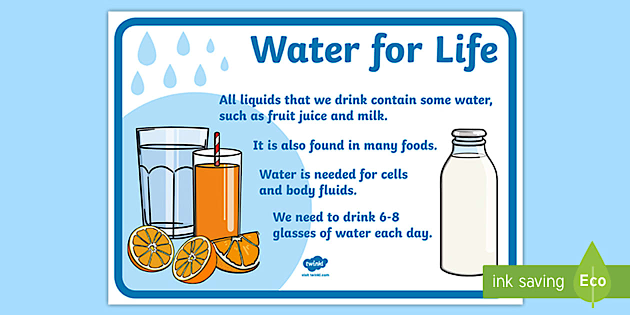 Year 6 Water Nutrients Display Poster (teacher made)