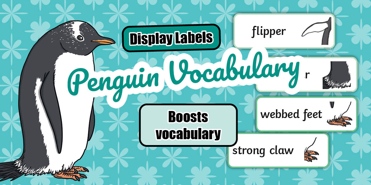 Penguin Vocabulary Display Labels - Twinkl