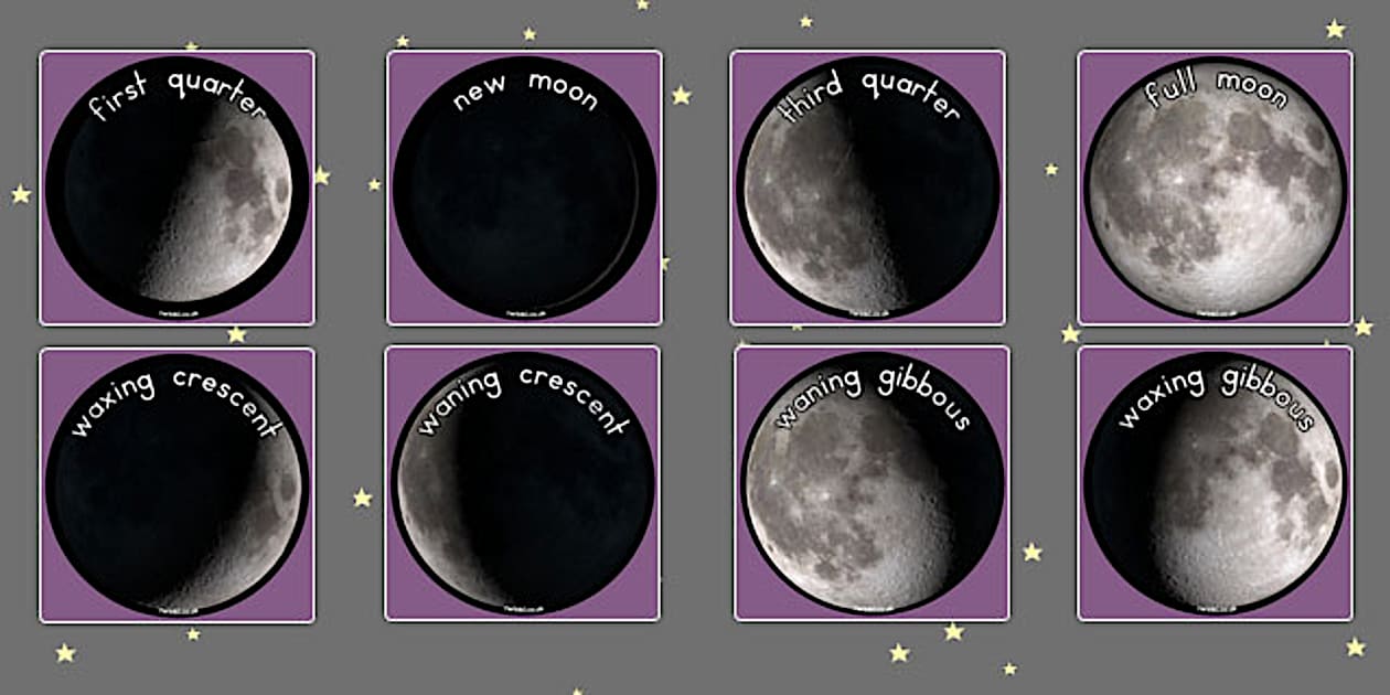 Phases of the Moon Display Photo Cut Outs