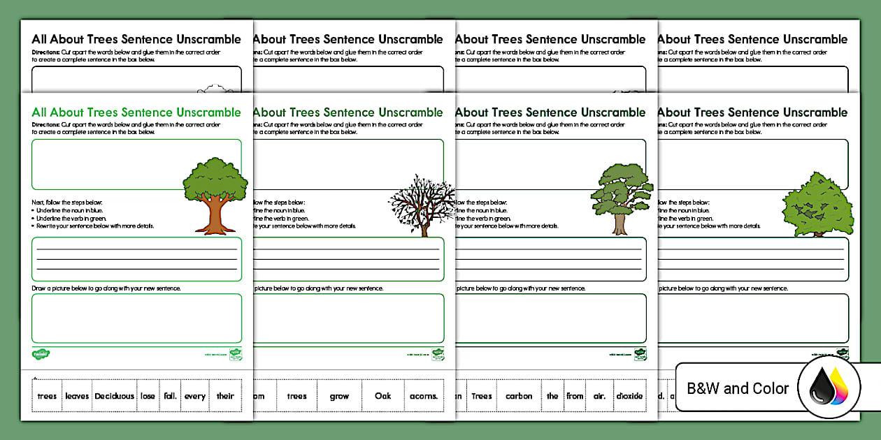 All About Trees Sentence Unscramble Worksheet for K-2nd Grade