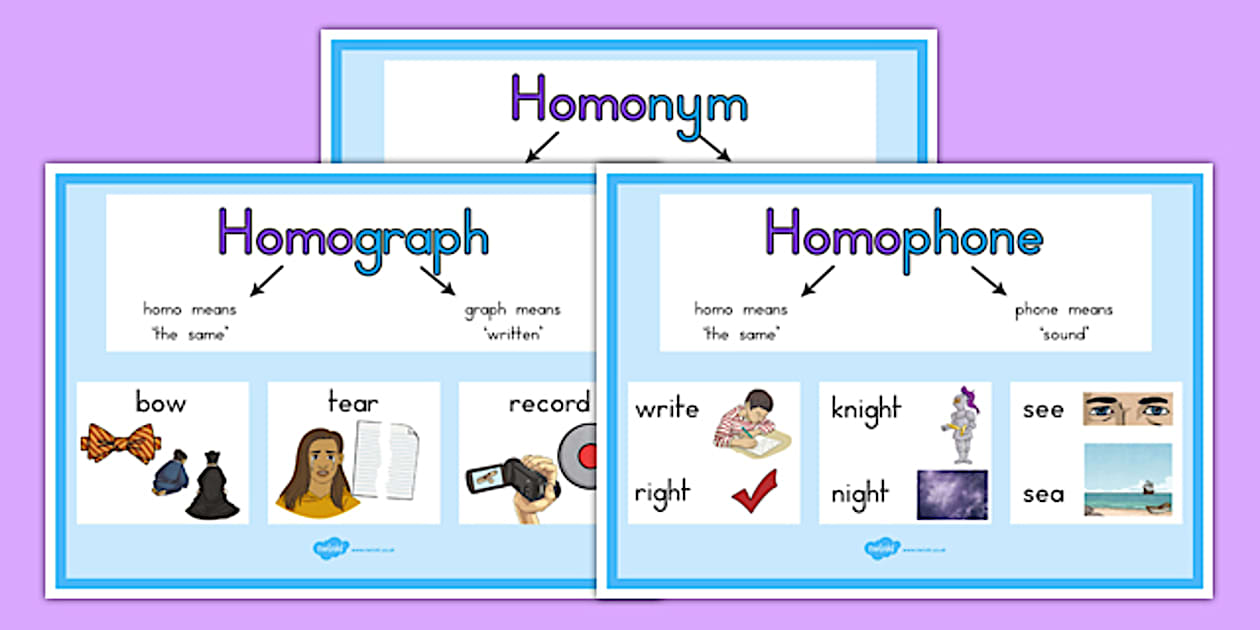 Homograph And Homophone Explanation Display Posters - australia