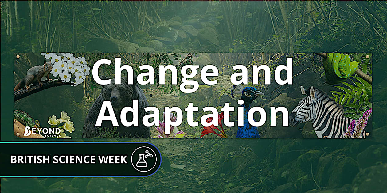 British Science Week Display Poster | Beyond Science