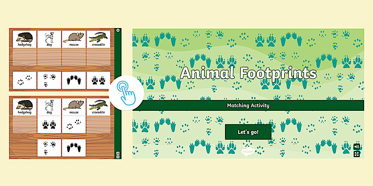Animal Footprints Interactive Matching Activity - Twinkl