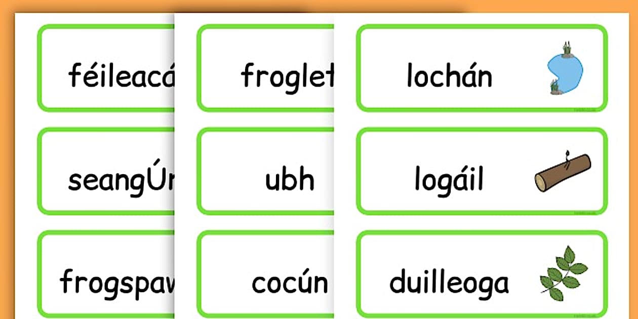 Life Cycle Word Cards (teacher made) - Twinkl