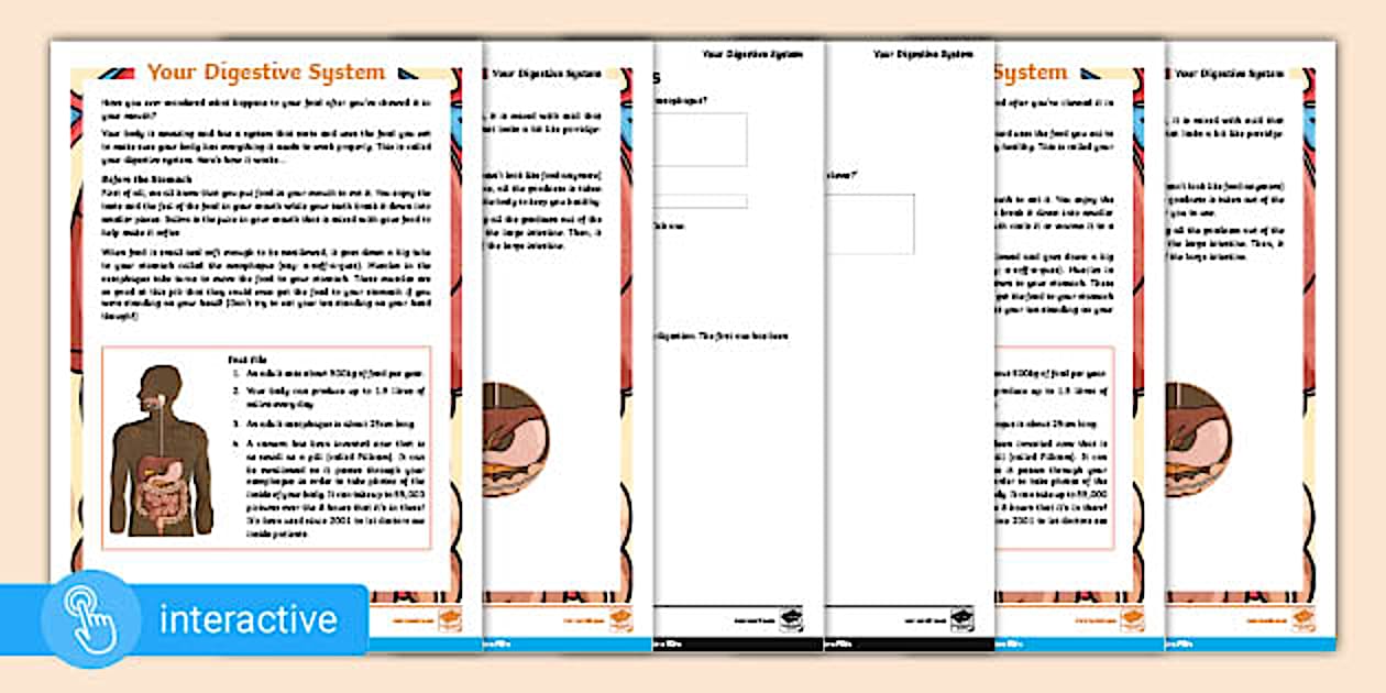 Editable Interactive PDF Y4 The Digestive System Differentiated Reading