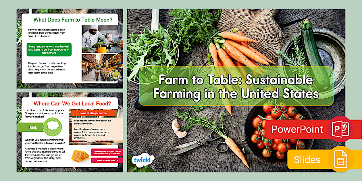 Farm to Table PowerPoint and Google Slides for K-2nd Grade
