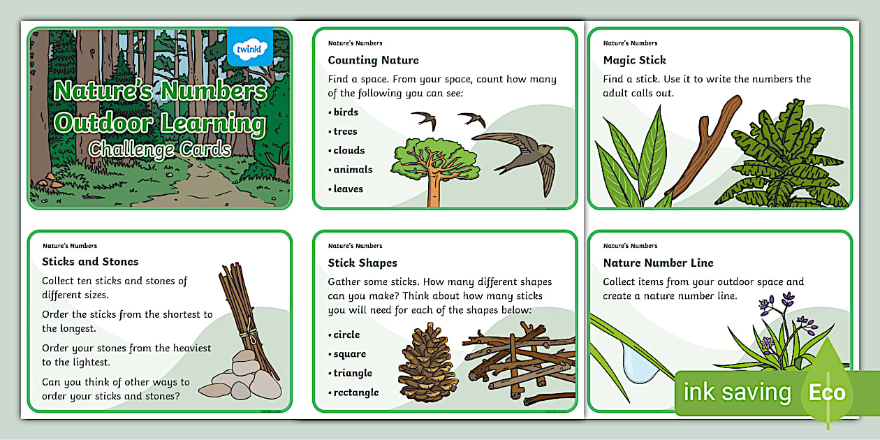 Outdoor Maths Activities - Nature's Numbers Challenge Cards