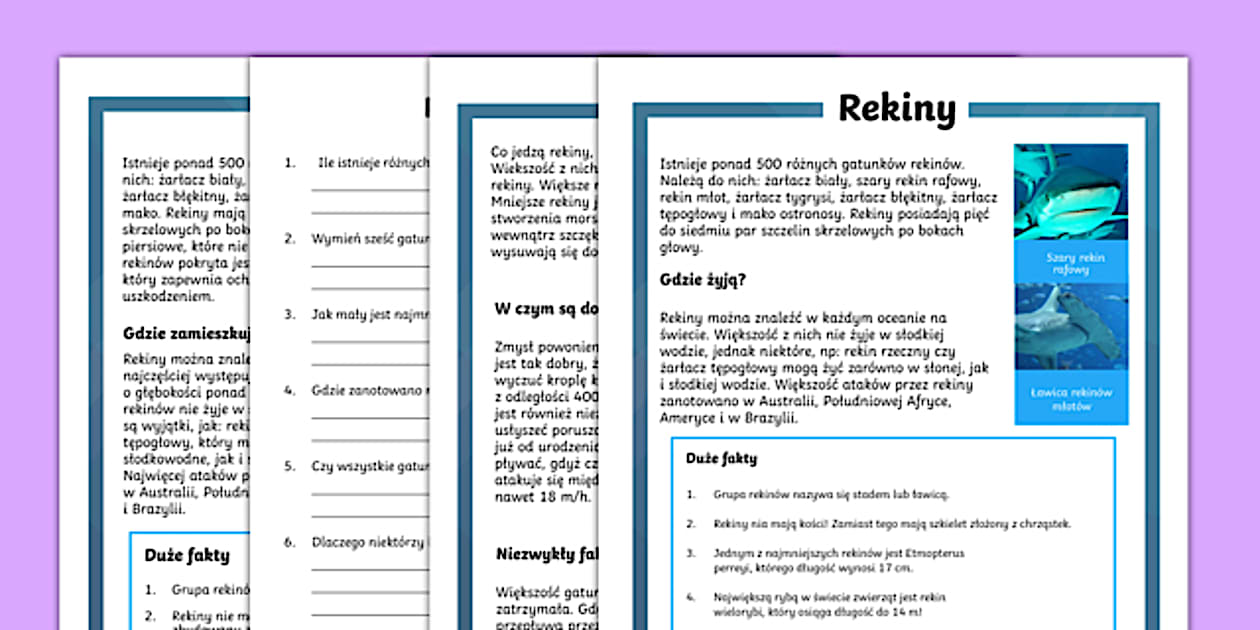 Sharks Differentiated Reading Comprehension Activity Polish