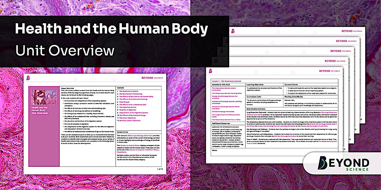 KS3 Health and the Human Body Unit Overview