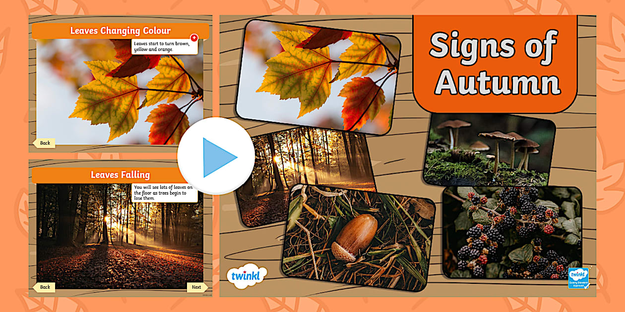 Signs of Autumn Photo Powerpoint (Lehrer gemacht) - Twinkl