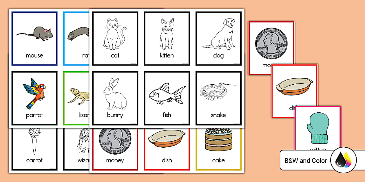Pets Rhyming Pairs Game | ELA Teaching Resources | Twinkl