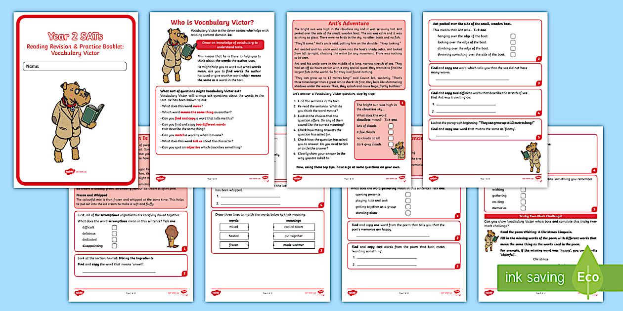 Year 2 SATs Survival: Vocabulary Victor Reading Revision & Practice Booklet