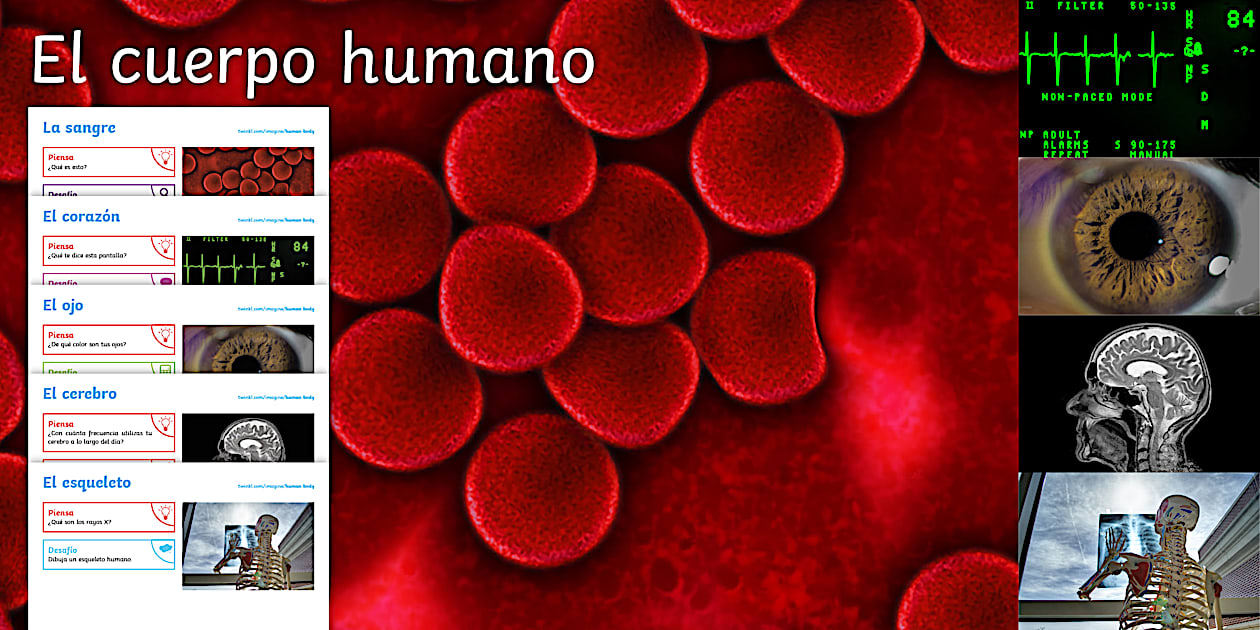 Imagine Human Body KS1 Resource Pack Spanish - Twinkl