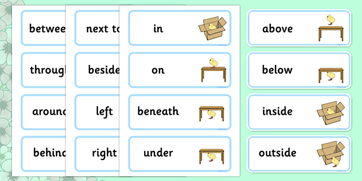 Editable Springtime Chick Themed Positional Language Vocabulary Cards