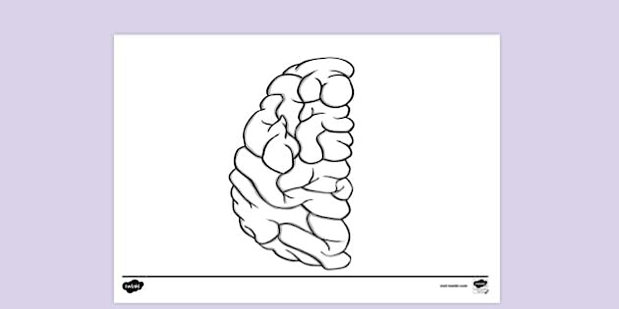 growth mindset brain grey half Colouring | Colouring Sheets