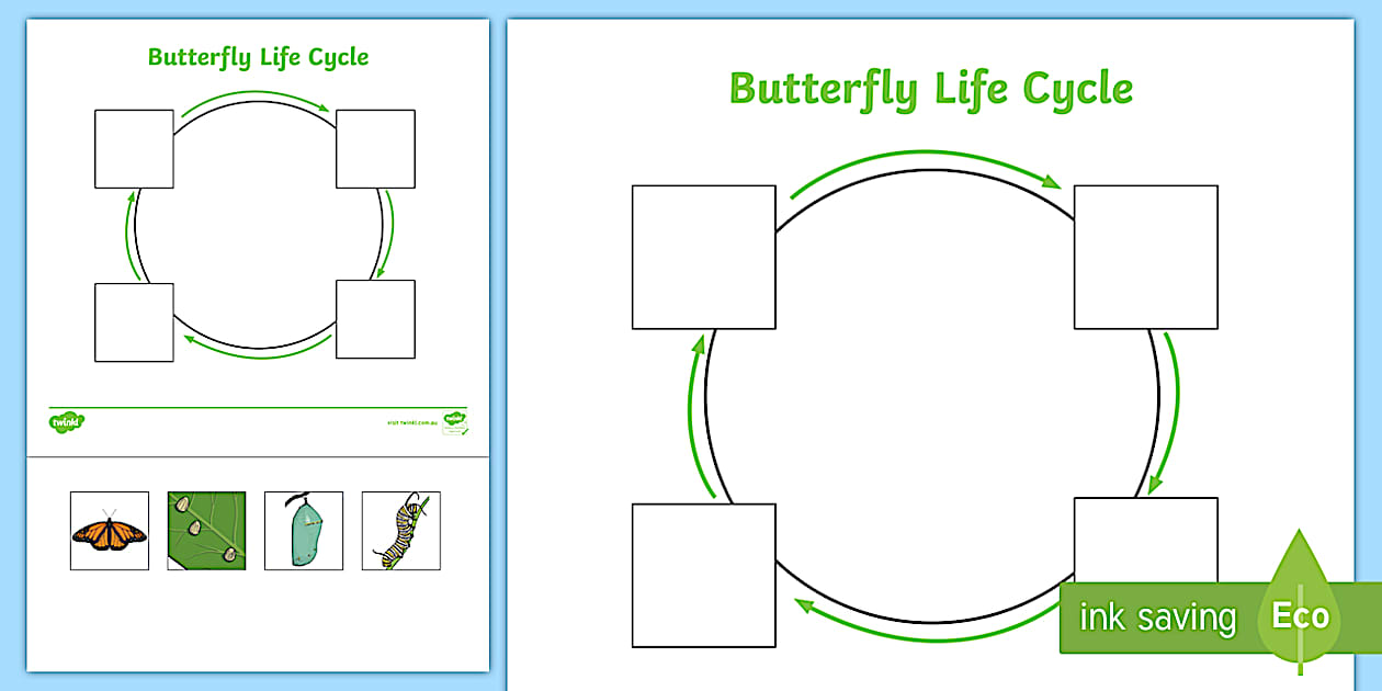 EYLF Butterfly Life Cycle Cut and Stick Activity - Twinkl