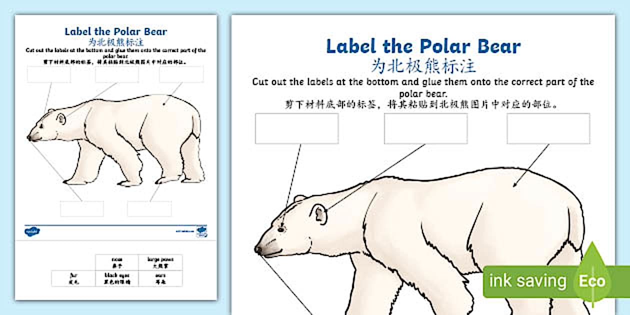 Label the Polar Bear Worksheet - English/Mandarin Chinese