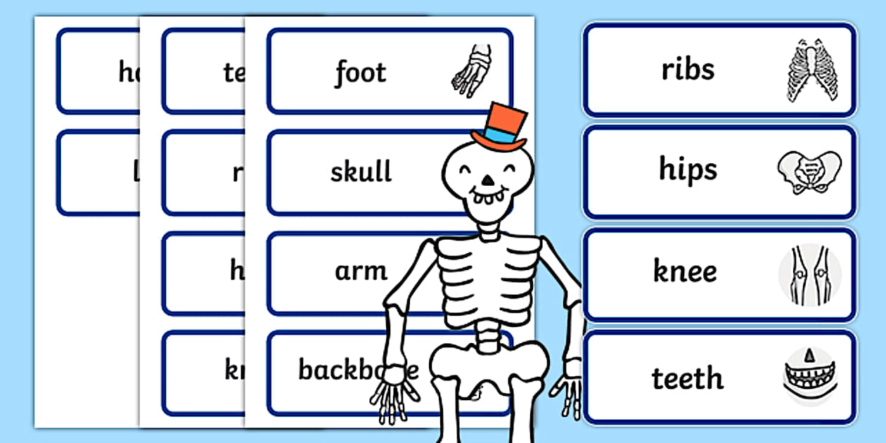 Editable Body Part Word Cards to Support Teaching on Funnybones