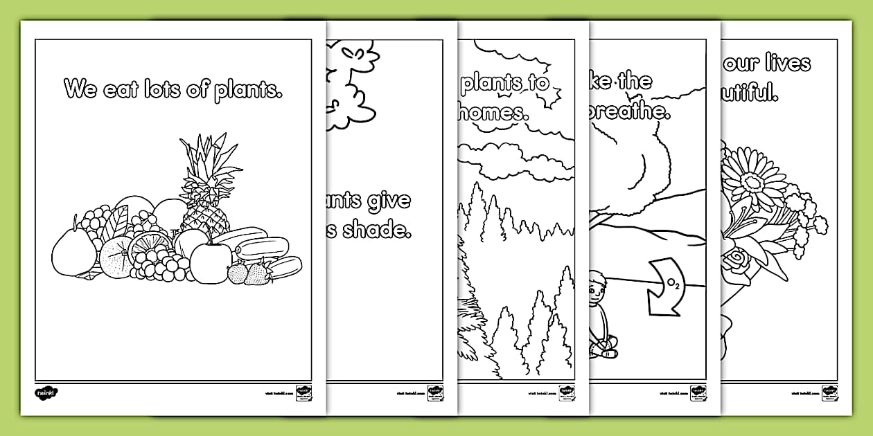 Early Childhood The Importance of Plants Coloring Sheets