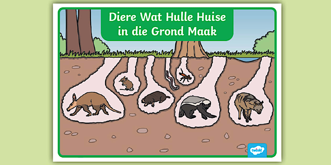 Diere Wat Hulle Huise in die Grond Maak Vertoonplakkaat