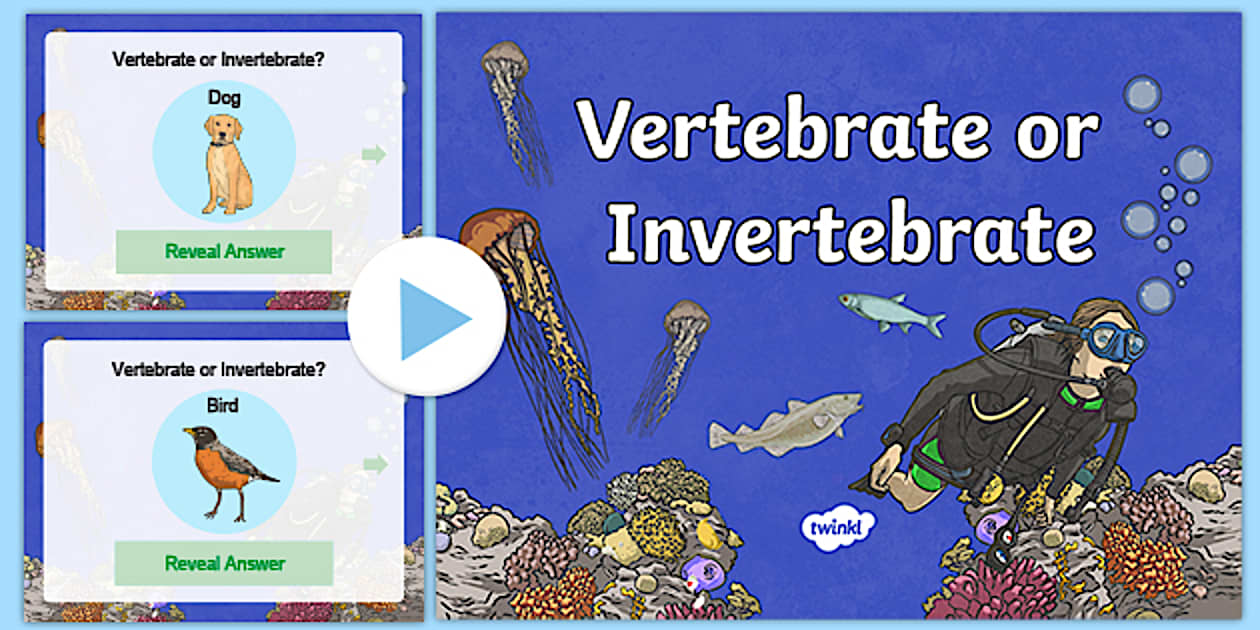 Vertebrate or Invertebrate KS2 PowerPoint (teacher made)